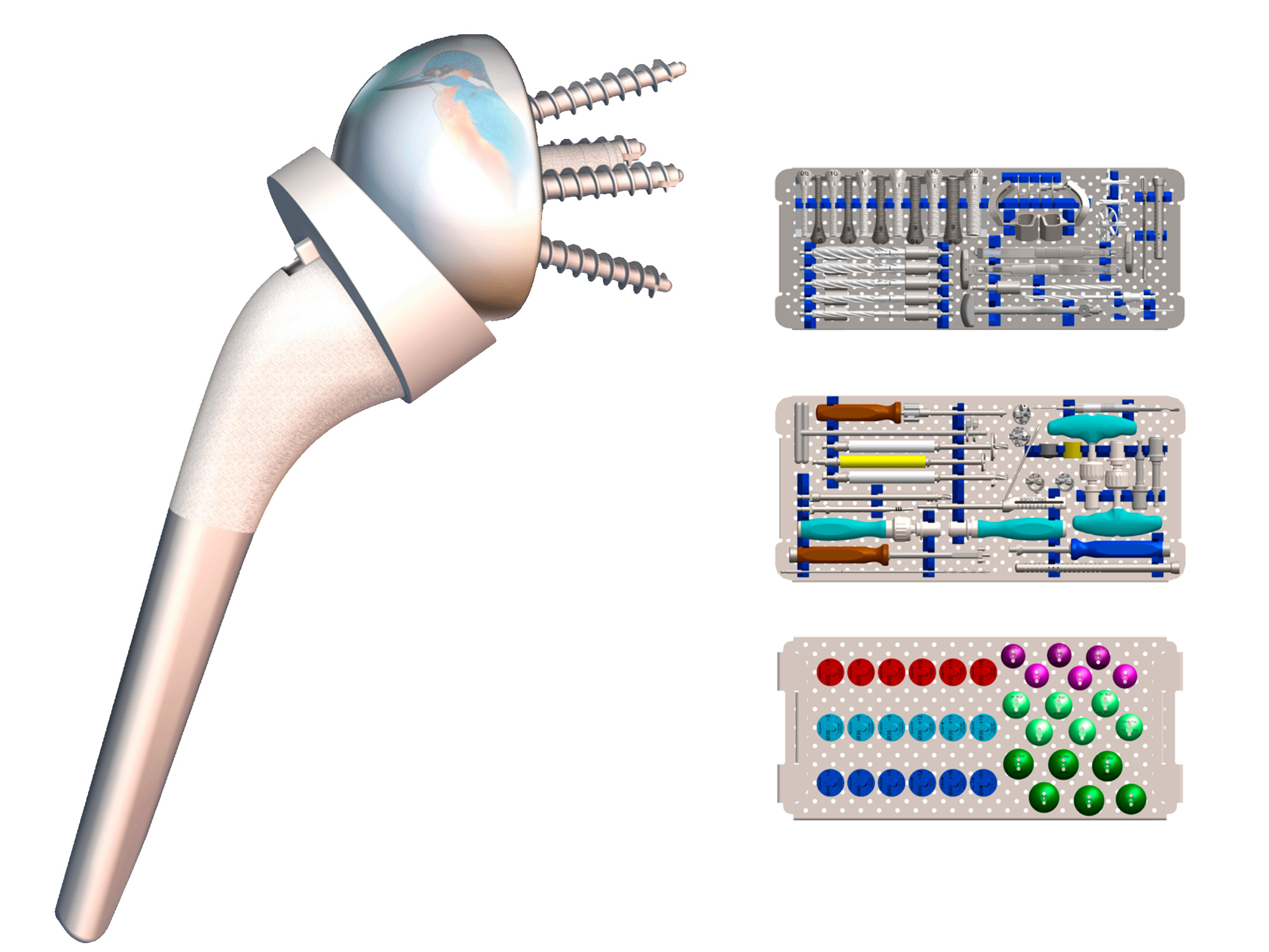 Humeris Reversible – Cx Trauma